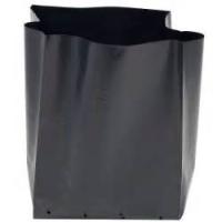 China 5gallon  7gallon hydroponics tomatoes plant  pot   garden planter bags plastic black grow bags for sale