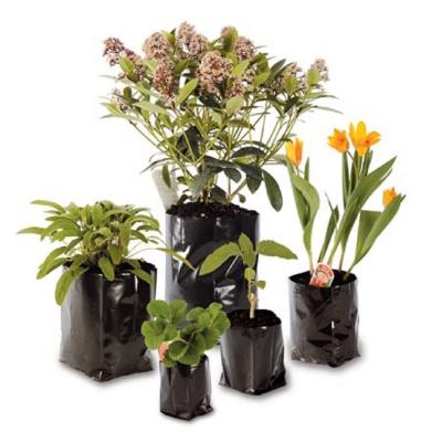 China poly seedling nursery heavy duty 5 gallon black grow bags for greenhouse planter for sale