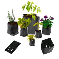 China poly seedling nursery heavy duty 5 gallon black grow bags for greenhouse planter for sale
