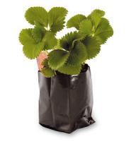 China poly seedling nursery heavy duty 5 gallon black grow bags for greenhouse planter for sale
