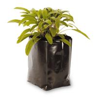 China farming agriculture gardening black poly planter nursery pots vegetables plastic grow bags for sale
