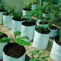 China LDPE plastic greenhouse white black planter grow bags with pre-punched drainage holes for sale