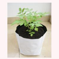 China LDPE plastic greenhouse white black planter grow bags with pre-punched drainage holes for sale