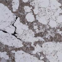 China Diverse Color Solid Quartz Countertop That Looks Like Marble And Granite for sale