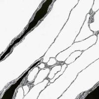 China White panda black and white quartz Flexural Strength 40-70 Top Quartz Countertops Effortless Cleaning for sale