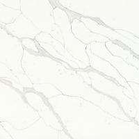 China Discount Quartz Worktops Modern Design Durability And Resistance 126''X63'' for sale