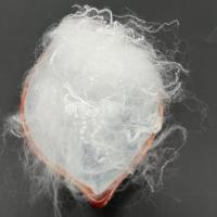 China 100% Biodegradable And Compostable Polylactic Acid Fiber For Textiles for sale
