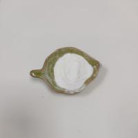 China Titanium Dioxide Rutile Nano Titanium Dioxide Automotive Paint Color - Changing Paint Pearl Paint Chameleon Paint for sale