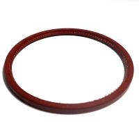 China Air Compressor Vacuum Pump Seal FKM TG Oil Seal 100*120*12mm for sale