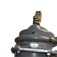 China International Truck Spare Parts Sinotruk HOWO Truck Parts Brake Chamber (WG9000360600) for sale