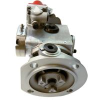 China Cummins Engine Part PT Fuel Pump 3631871 for Cummins K3009-800KW Genset for sale