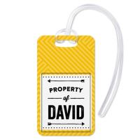 China Custom Hard PVC Luggage Tags 100x50mm with UV Print and Plastic Loop Rope for Travel for sale