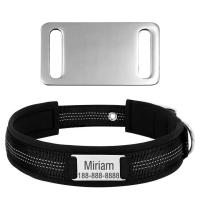 China Personalized Pet Engraved Name ID Collar Tag GoTags Fabric Tape Sliding Stainless Steel Dog Tag 1mm for sale