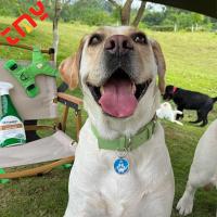 China Custom Printed Metal QR Code NFC Pet ID Tag 25mm 30mm Smart Wireless Round Dog Tag for sale