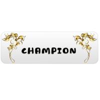 China Custom Aluminum Sublimation Blanks White Metal Name Tag Badges 76x35mm for Logo Printing for sale