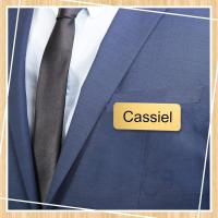 China Custom Logo ABS Plastic Gold Name Badge Laser Engravable Blank 3x1 Inch for sale