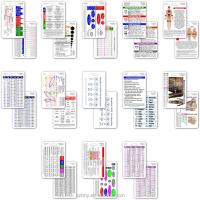 China Custom Waterproof Plastic RN CNA Nursing Student Internship Nurse Badge Set Lab Values EKG Vitals Pocket Label Printing for sale