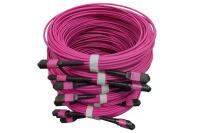 China OM4 8Cores 12cores Female Elite MPO Patch Cable For QSFP Transceivers for sale