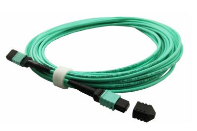 China 24F OM4 TypeB MPO MTP 3.0mm 3D tested Elite Loss patch cable for sale