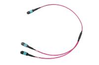 China Customize Low Loss Up To 288 Fibers SM And MM MPO MTP Shuffle Cable for sale