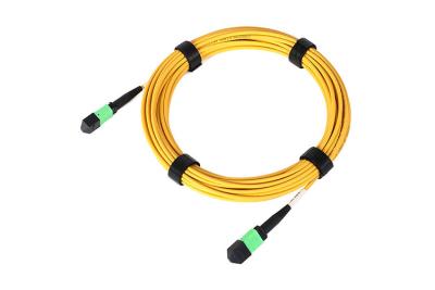 China 9-125um MPO MTP Cable SM 24 Fiber Trunk Cable Single Mode Patch Cord For Metro for sale