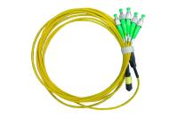 China 3 Meters OFNP 12F MPO MTP Cable OS2 Singlemode Breakout Cord for sale