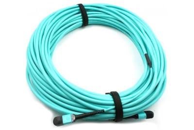 China 40G 100G SFP Female To Female MPO MTP Cable 24 Core OM4 MTP Cable for sale