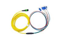 China 1310nm 1550nm Single Mode Fiber Optic Patch Cord MPO Fanout Cable 100% Tested for sale