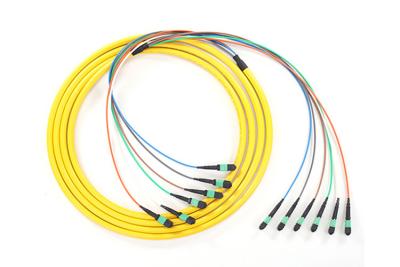 China OEM OM3 40G Fiber Optic Trunk Cable G655 G657 MTP MPO Patch Cord for sale