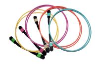 China 24 Core MPO To MPO Fiber Cable 40 Gb Multimode Fiber Optic Patch Cord for sale