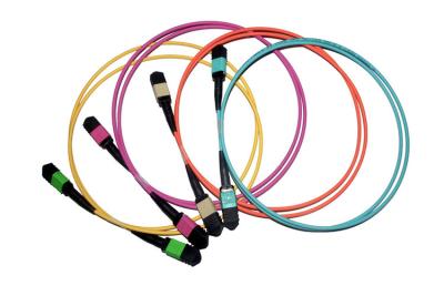 China 24 Core MPO To MPO Fiber Cable 40 Gb Multimode Fiber Optic Patch Cord for sale