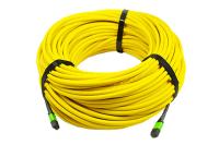 China 24 Core Fiber Optic To 24F MPO MTP Patch Cord Fiber Trunk Cable for sale