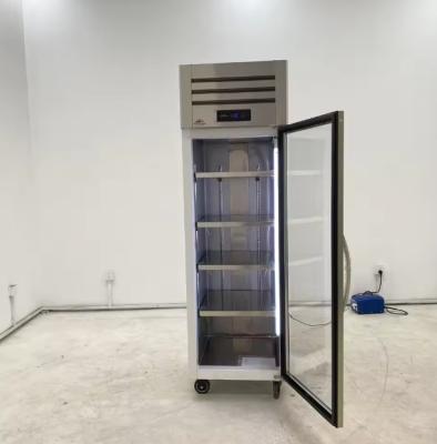 China Stainless Steel Upright Display Freezer 400L to 1500L R290 Refrigerant Commercial Chiller for sale