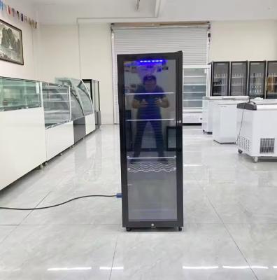 China Commercial Glass Door Beer Fridge 33L to 235L Upright Cooler with Custom Logo for sale