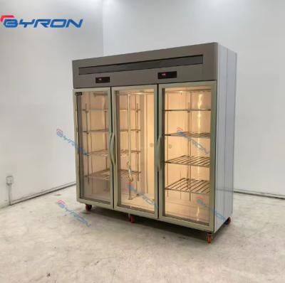 China Commercial Vertical Meat Hanging Refrigerator For Pig Beef Lamb for sale