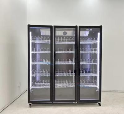 China Upright Display Freezer Luxury Drink Refrigerator 400L 200cm for Gym Fitness for sale