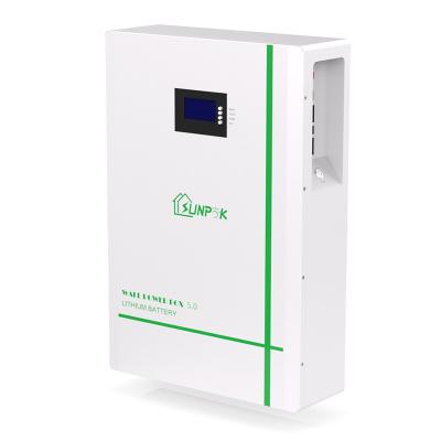 China 10Kwh 48 Volt Lifepo4 Lithium Ion Batteries With BMS 200Ah 100Ah for sale