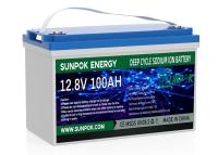 China Lifepo4 Deep Cycle Car Battery 12v 100ah Automotive Battery 1Kw Lithium Iron Phosphate for sale