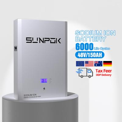 China Sustainable Sodium Ion Battery DIY Natrium - Ionen - Akku Selber Bauen Discharge Rate 1C BMS for sale