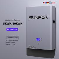 China Sodium Battery 48V Battery Energy Storage 5Kwh 48V 200Ah 100Ah Lifepo4 Wall Mounted Sodium Ion Battery Pack for sale