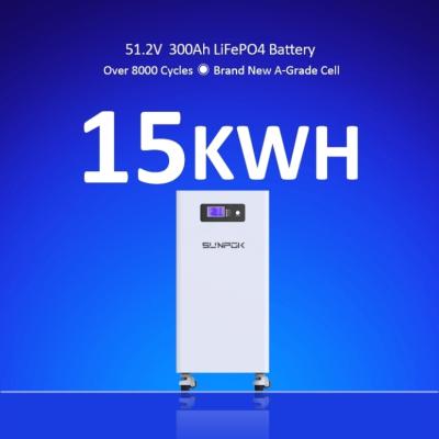China High Quality Rechargeable Deep Cycle 8000 Cycles 51.2V 300Ah 15KWh LiFePO4 Lithium Ion Batteries for sale