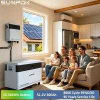 China SUNPOK 15KWH Home Energy Storage Battery 51.2V 300AH LiFePo4 Battery 48V Touch Screen 10kw Lithium Battery with Wheels for sale