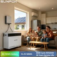 China Sunpok High Capacity High Performance 30kwh 51.2v 600ah LiFePO4 Lithium Battery for Solar Energy Storage for sale