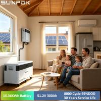 China SUNPOK Grade a LiFePO4 Lithium Battery 51.2V 300Ah Home Energy Storage System 15kWh Battery for sale