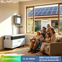 China SUNPOK 15KWh Battery Pack 51.2V 15kw Lithium Lifepo4 300Ah 15KWh LFP 48V Household Solar System Energy Storage Batterie CAN Port for sale