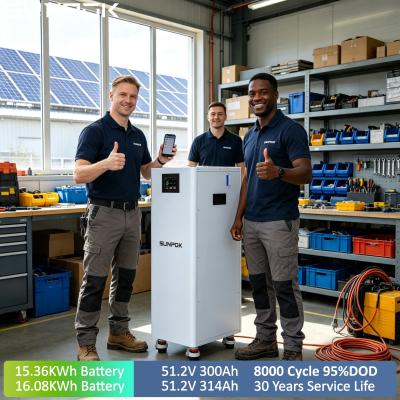 China SUNPOK 16KWh Battery Pack 51.2V 16kw Lithium Battery 314Ah LFP Lifepo4 Solar Batteries Household Solar Energy Storage for sale