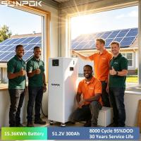 China SUNPOK 48V 51.2V 15kwh 16kwh Lithium Ion Battery Packs 314Ah 300Ah Lifepo4 Battery 48V Vertical Solar Home Energy Storage for sale