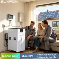 China SUNPOK Mobile Version LiFePO4 Battery Pack 51.2V 300Ah 15KWh Lithium Ion Batteries With Smart BMS for Home Energy Storage System for sale