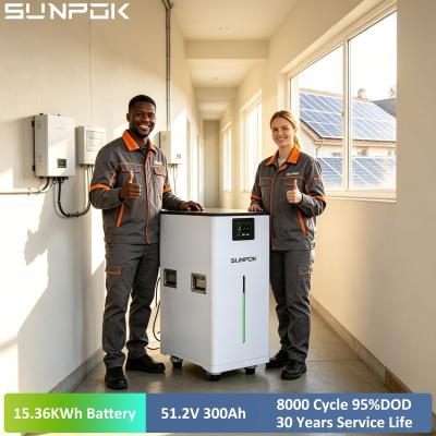 China SUNPOK 51.2V 300Ah LiFePO4 Battery Pack 15kWh Solar Storage Energy With Bluetooth/WIFI Monitoring 8000+ Cycles With Smart BMS for sale