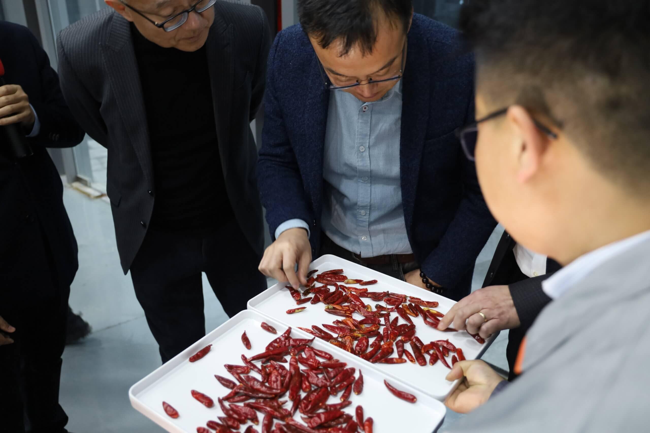 Visual Inspection Technology